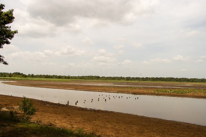 Remnants of Fishing Pier on the Bottom of a Dry Lake Stock Photo ...