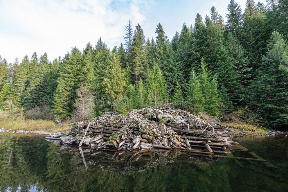 Historic Flash Dam stock photo. Image of water, natural - 302099780