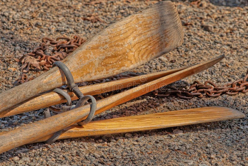 Remos De Madera Para Los Botes De Remos Imagen de archivo - Imagen de ...