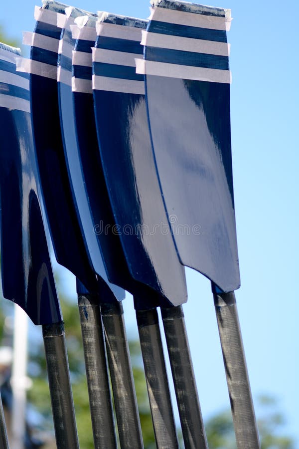 Remos del barco de rowing foto de archivo. Imagen de grabada - 43136624