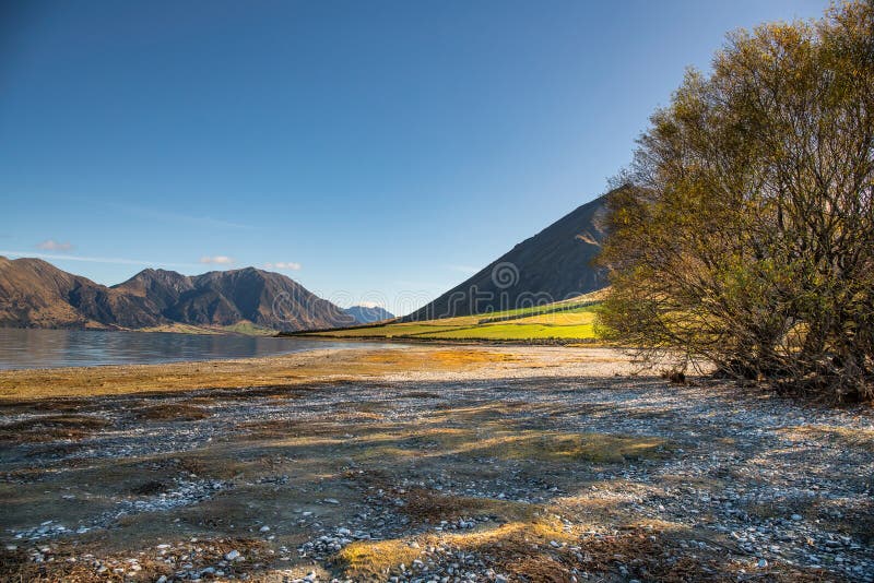 Small Georgina Lake Nested in the Canterbury Highlands Stock Image ...
