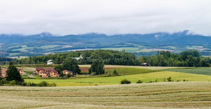 Remote area stock image. Image of farmland, food, agricultural - 33979947