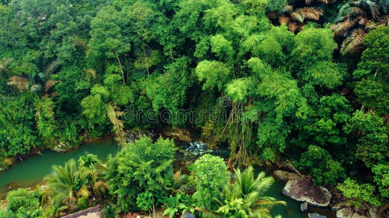 The Remote Baduy Village is a Hidden Gem, Surrounded by Lush Greenery ...