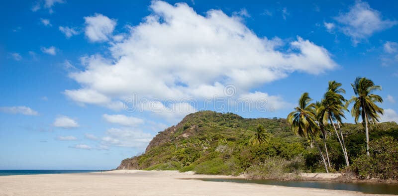 Remote Beach with Palm Trees Stock Photo - Image of turquoise, beach ...