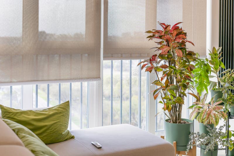 Remote Control Panel for Blinds Stock Photo - Image of decor, filtering: 377731984