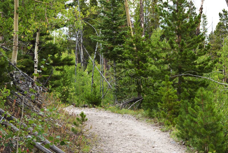 Remote Fire Road stock photo. Image of fire, peace, access - 15992016