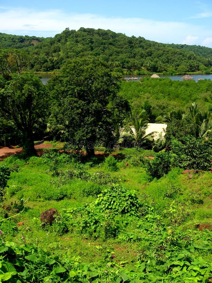 Remote Indian village stock photo. Image of scenic, home - 3285592