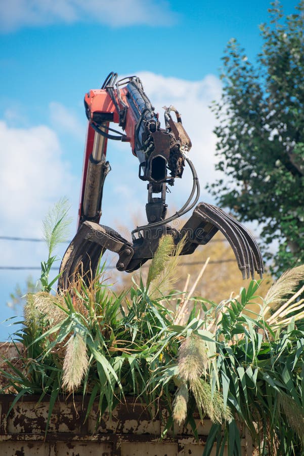 Remote Manipulator Collecting Trees. Stock Image - Image of grab ...