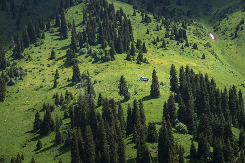 Remote Mountain Hut in High Altitude, Small House in the Green Forest ...