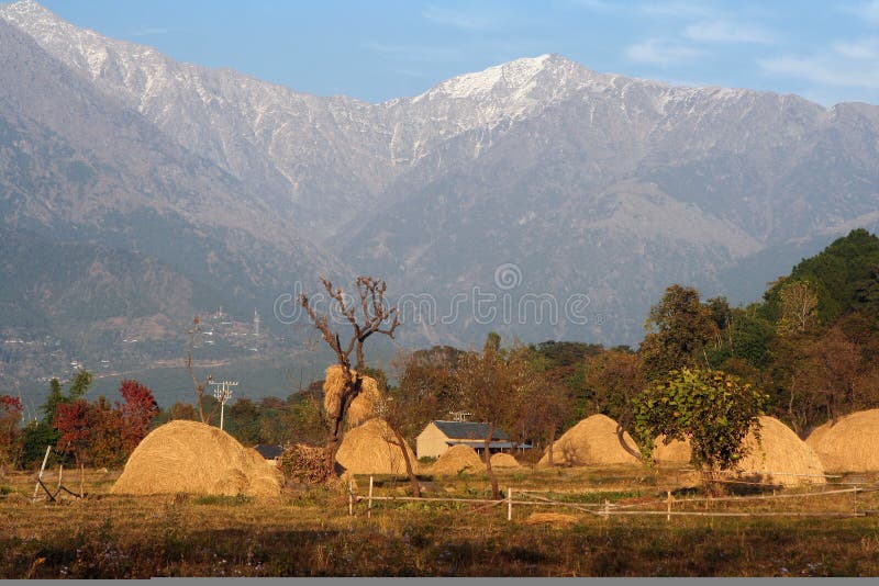 Remote Rural Agriculture in Remote Himalayas India Stock Image - Image ...