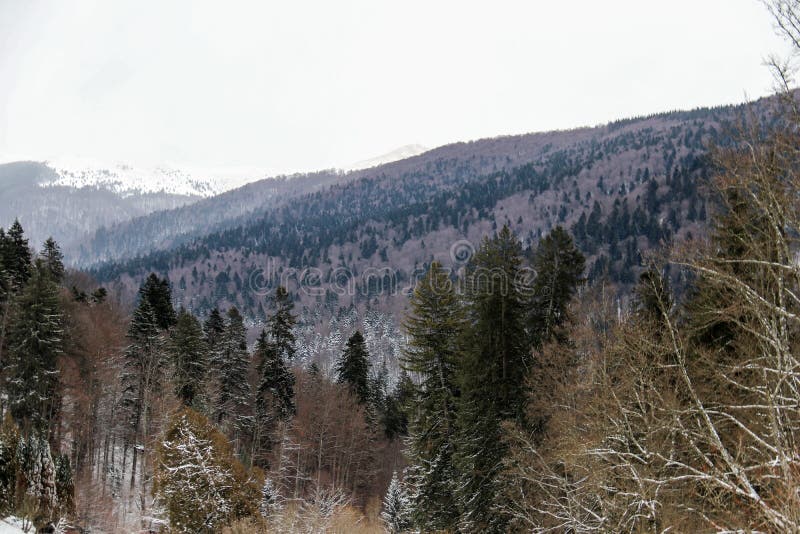 Remote village in Romania stock image. Image of historic - 177024851