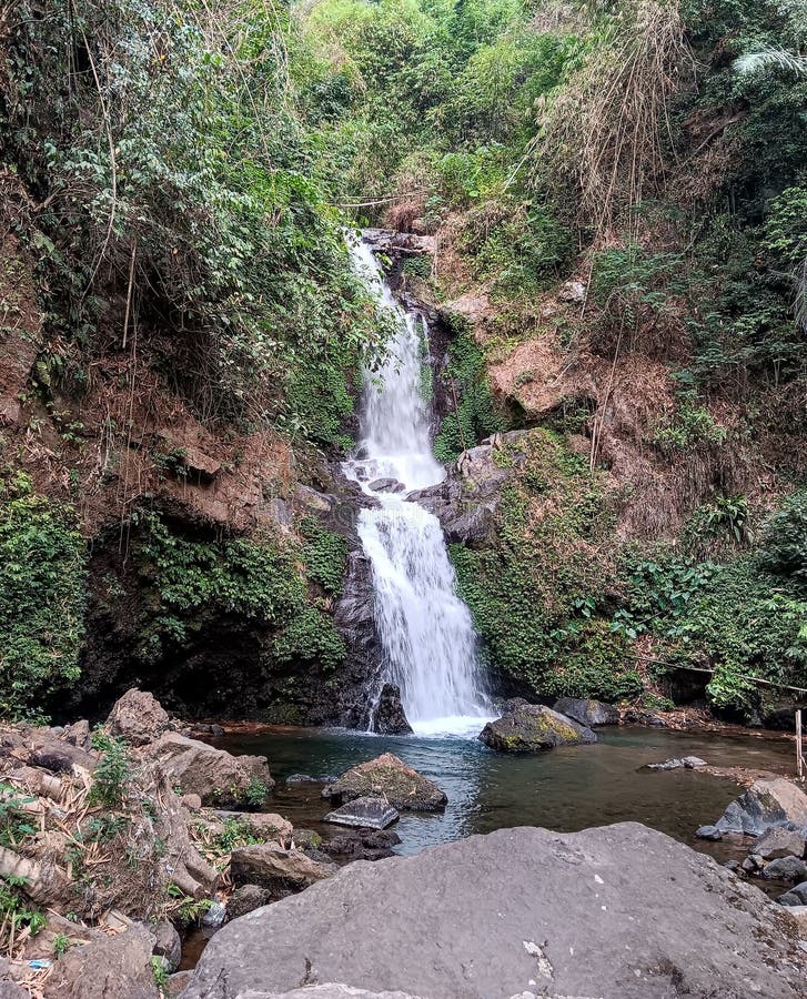Remote Waterfall in the Middle of the Jungle Stock Photo - Image of ...