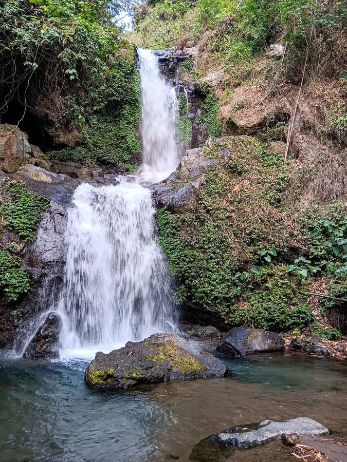 Remote Waterfall in the Middle of the Jungle Stock Image - Image of ...