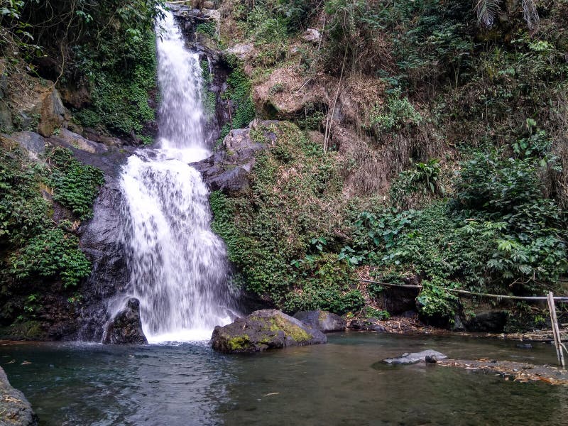 Remote Waterfall in the Middle of the Jungle Stock Photo - Image of ...