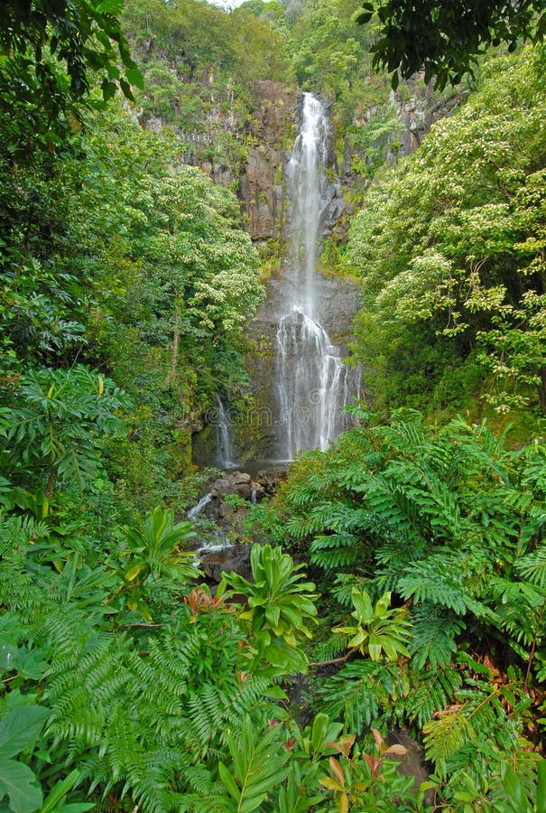 Remote Waterfall in Rainforest in Hawaii Stock Image - Image of high ...