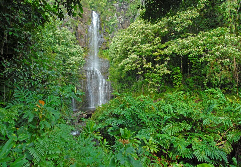 Remote Waterfall in Rainforest in Hawaii Stock Image - Image of ...