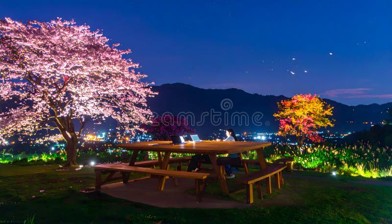 Remote Work in Springtime: a Modern Outdoor Office Stock Image - Image ...