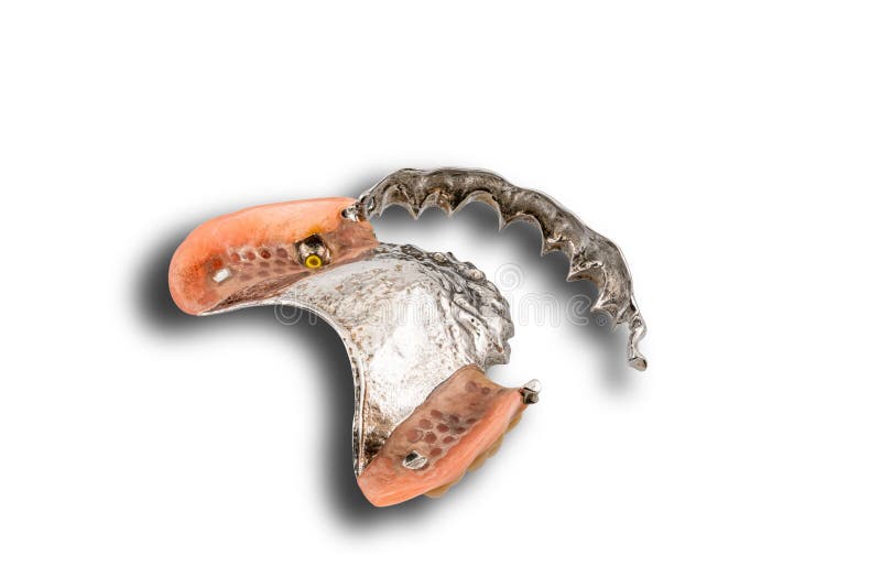Removable Partial Metal Swinglock Upper Denture Opened on White ...