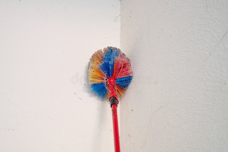 Remove Cobwebs with a Spider Sweeper from the Wall Corner, Cleaning at ...