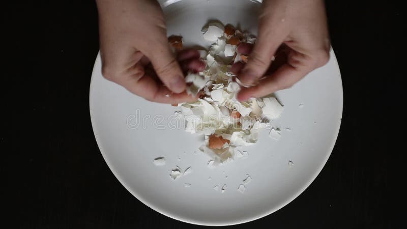 Crushed Shell Sidewalk stock photo. Image of sand, ocean - 29940582