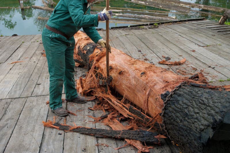 Removing bark stock image. Image of bark, sawmill, cutting - 14352225
