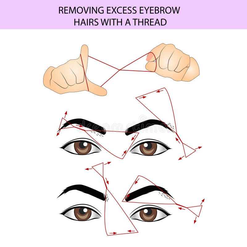 Removing Excess Eyebrow Hair with Thread, Eyebrow Guide, Vector ...