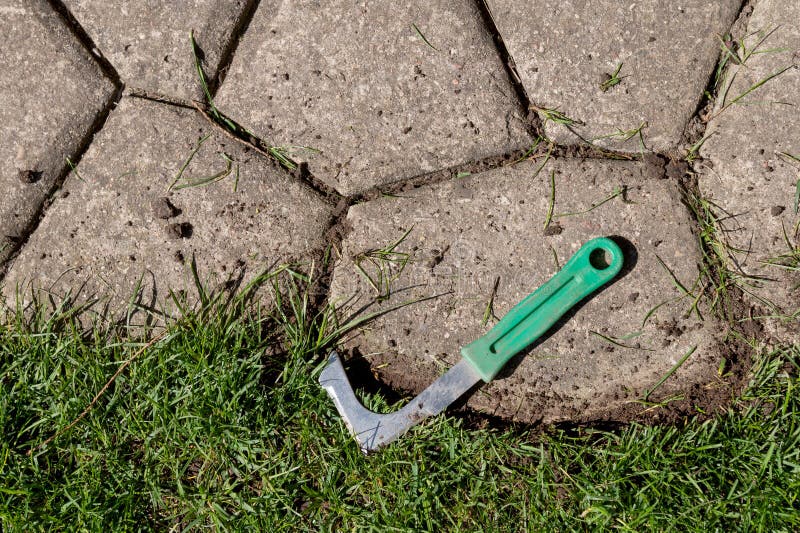 Removing Grass in Paving Slabs on the Street. a Tool for Removing the ...