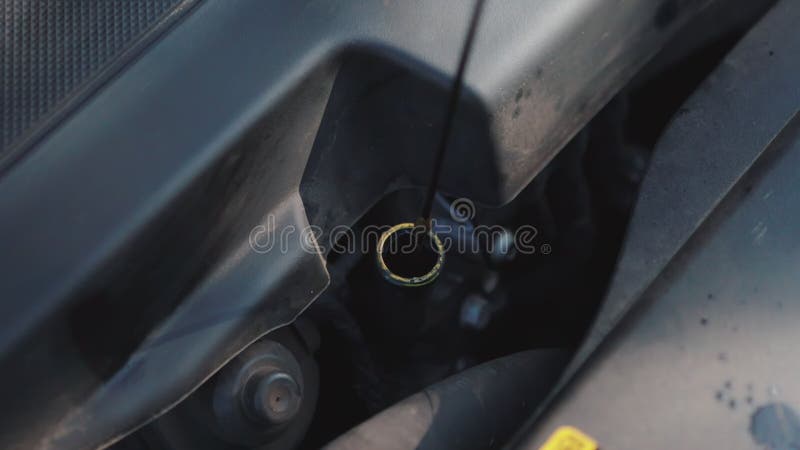 Removing the Oil Dipstick from the Engine To Check the Engine Oil Level ...