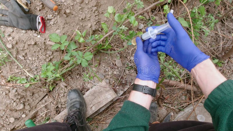 Removing Thorns with Herbicides Stock Video - Video of cultivated ...