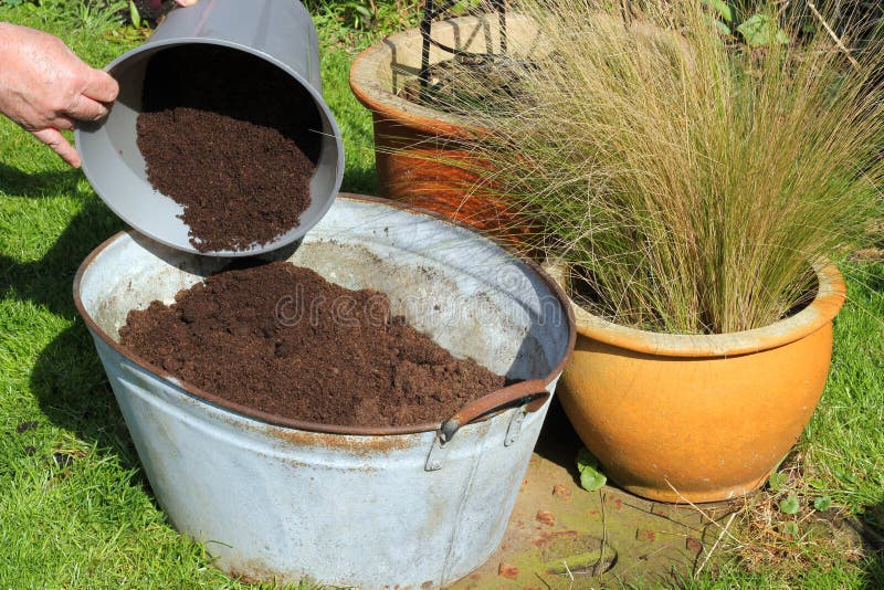 Remplir Un Récipient De Compost Photo stock - Image du jardin, ressort ...