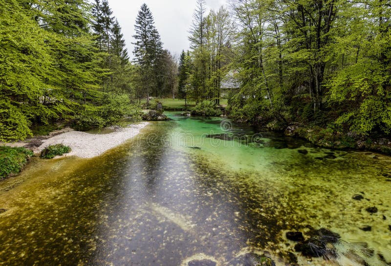 Ren flod i Slovenien arkivfoto. Bild av alpin, turism - 69942518
