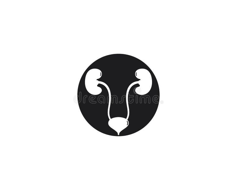 Renal System Vector Icon Illustration Stock Vector - Illustration of ...