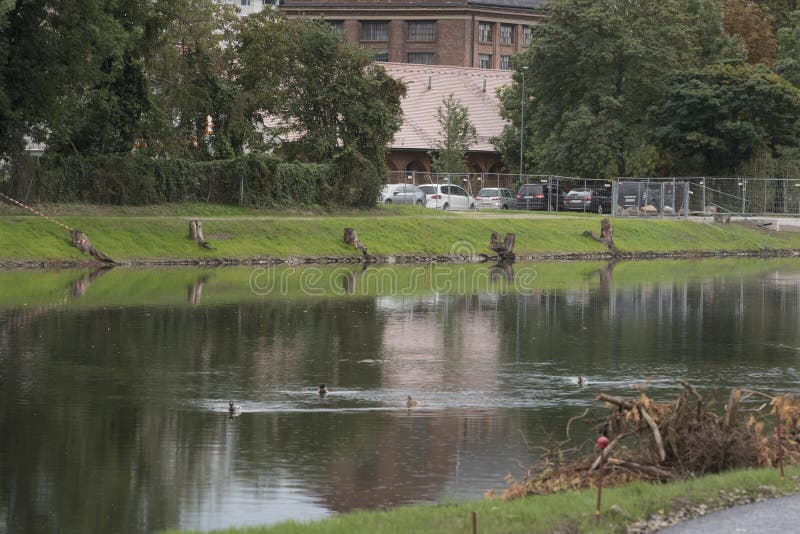 Renaturation or Ecological Restoration in Damaged Ecosystems Stock ...