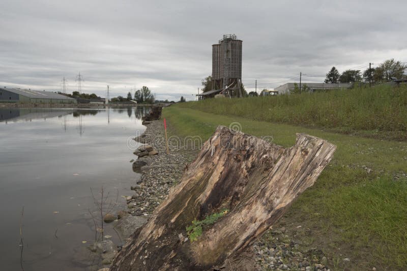 Renaturation or Ecological Restoration in Damaged Ecosystems Stock ...