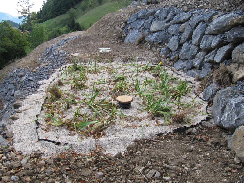 Renaturation or Ecological Restoration in Damaged Ecosystems Stock ...