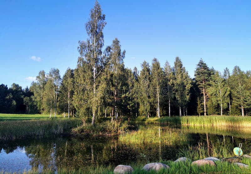 Renda. Summer. Pond stock photo. Image of pond, renda - 173955168