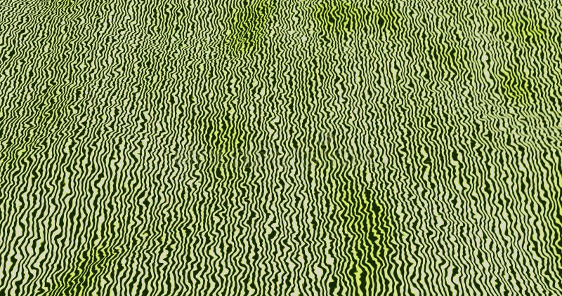 Render with Abstract Green Background of Winding Lines Stock ...