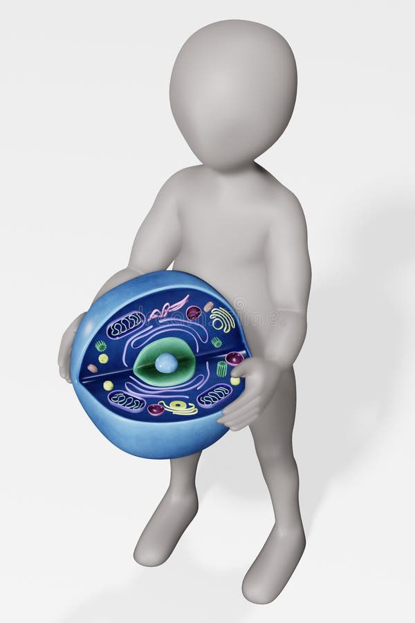 Render of Character with Human Cell Stock Illustration - Illustration ...