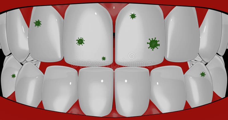Teeth Bacteria Virus Tooth To Understand the Various Impacts that ...