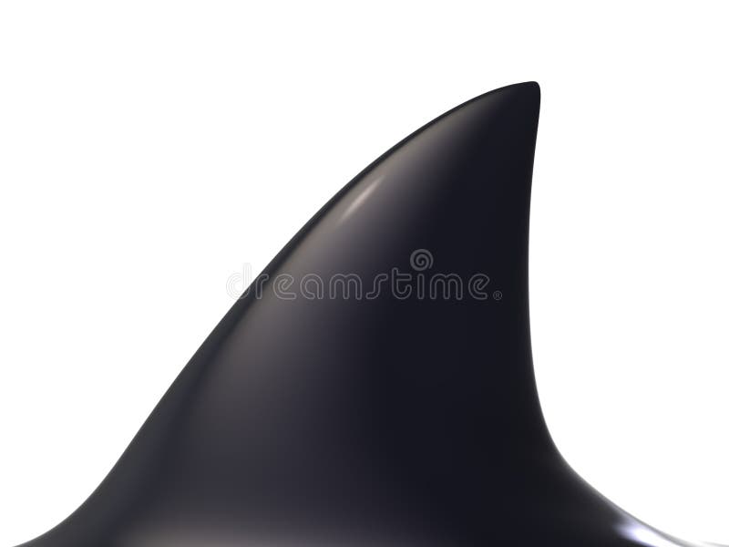 120+ Fin shark Free Stock Photos - StockFreeImages