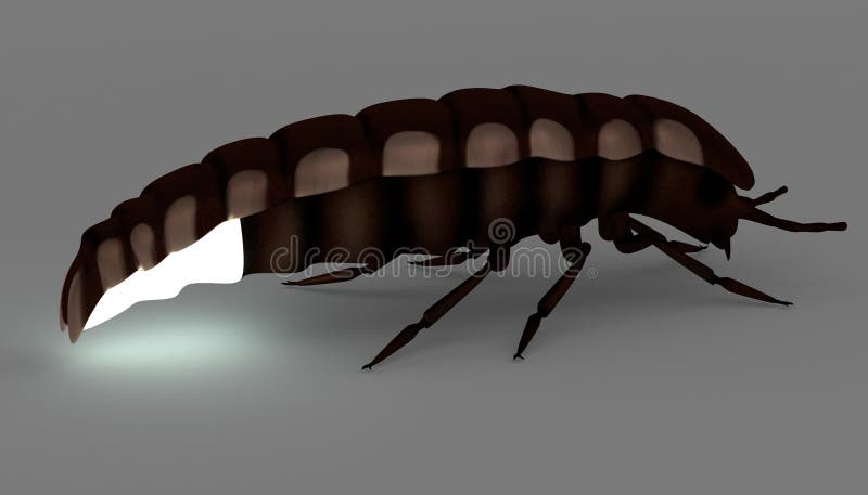 Glow worm stock illustration. Illustration of research - 10758078