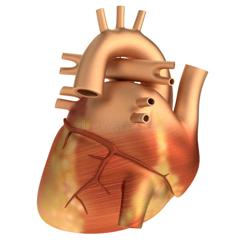 Render of human heart stock illustration. Illustration of graphics ...