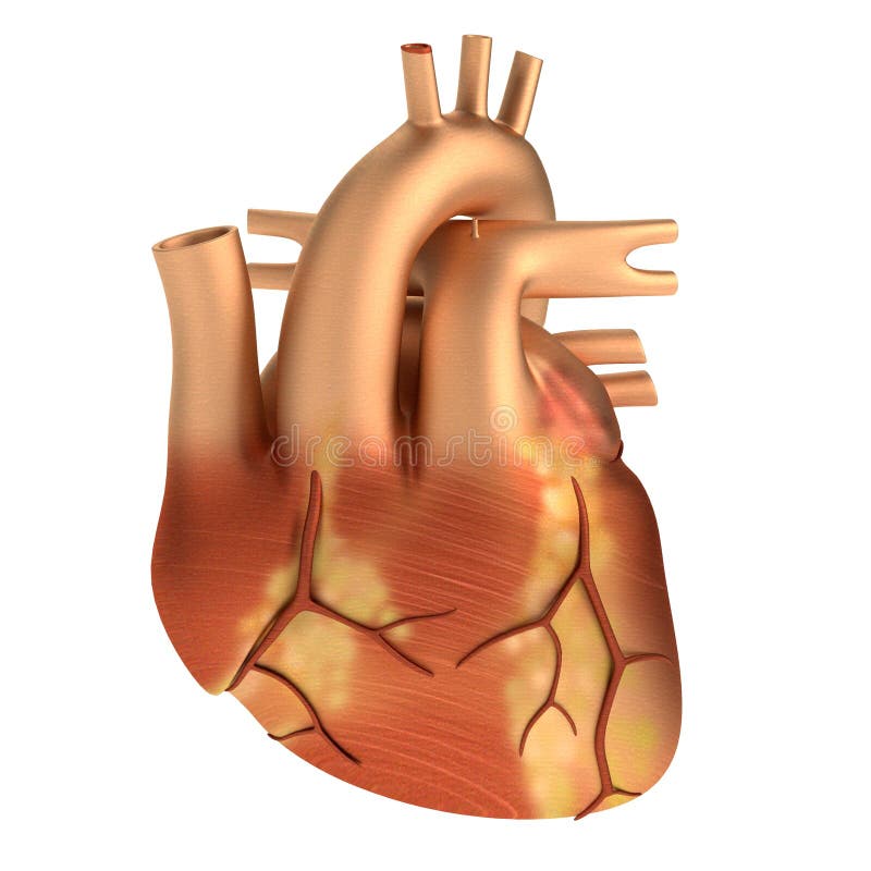 Render of human heart stock illustration. Illustration of human - 35918928