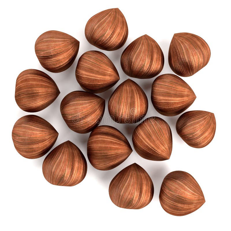 Acorn icon stock vector. Illustration of detail, botany - 34199070