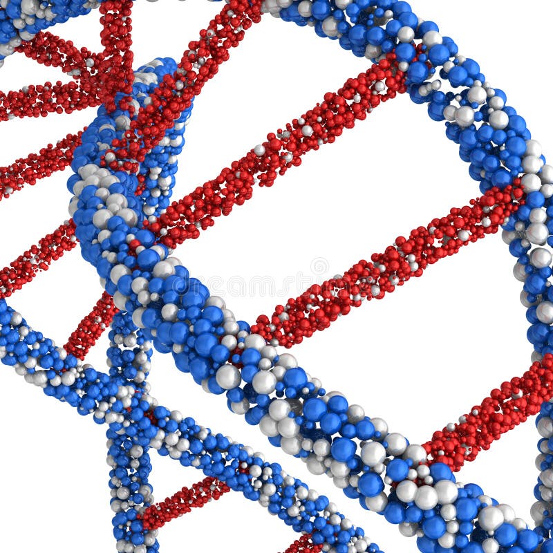 Twisted DNA Molecule Isolated on White Background Stock Illustration ...