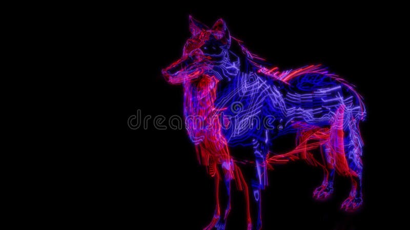 Rendering 3D Animation, VISUAL EFFECTS Wolf Model on a Black Background ...