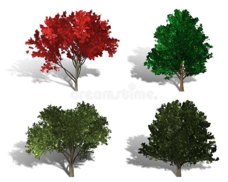 Rendering of Four Different Kind of Trees Stock Illustration ...