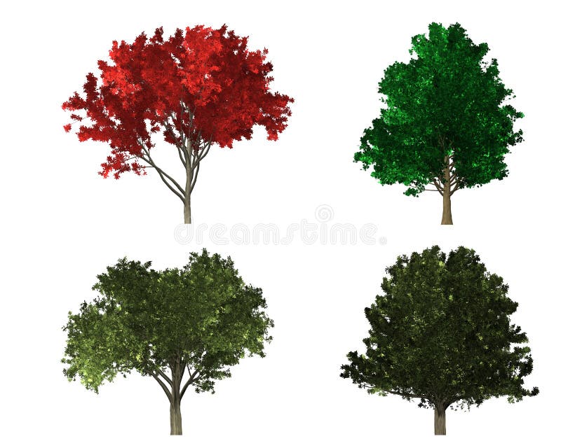 Rendering of Four Different Kind of Trees Stock Illustration ...