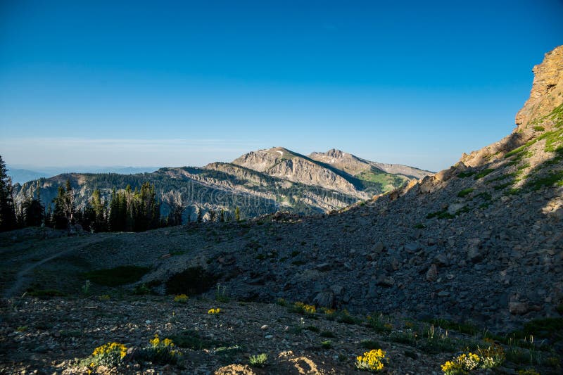 Rendevous Mountain Seen from Mt Hunt Divide Stock Image - Image of ...