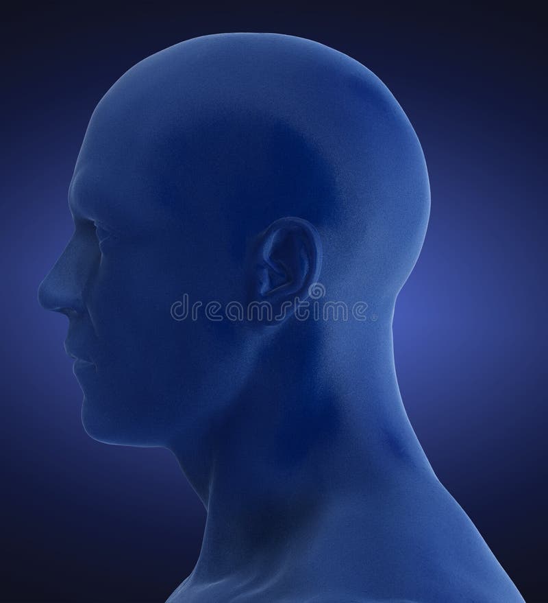 Rendu 3d du visage humain illustration stock. Illustration du organes ...